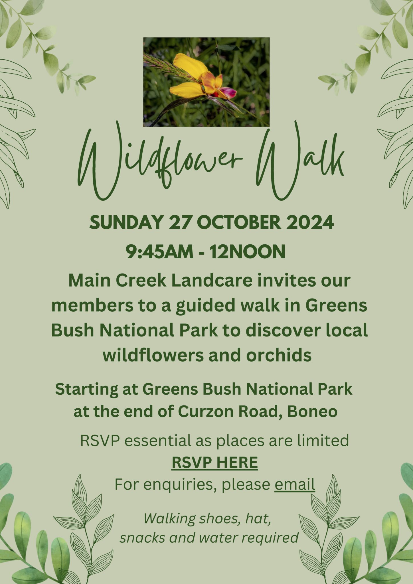 Wildflower walk in the Woods! - Flinders Village